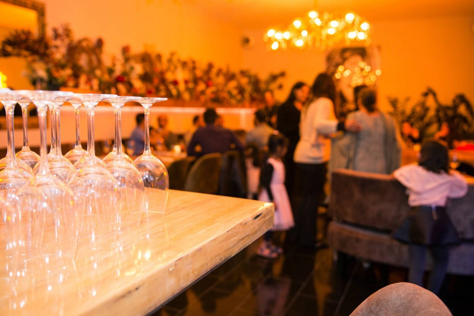 Groepen | Indian Bay Dreams | Den Haag